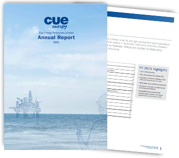 Annual Report | CUE Energy